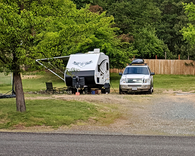 Camping with elbow room! This isn't sardine-style RV parking – it's the wilderness with just enough civilization to keep things comfortable.