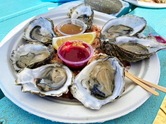A plate of freshly shucked oysters arranged like a clock face, with mignonette and cocktail sauce standing by. Ocean perfection needs little intervention.