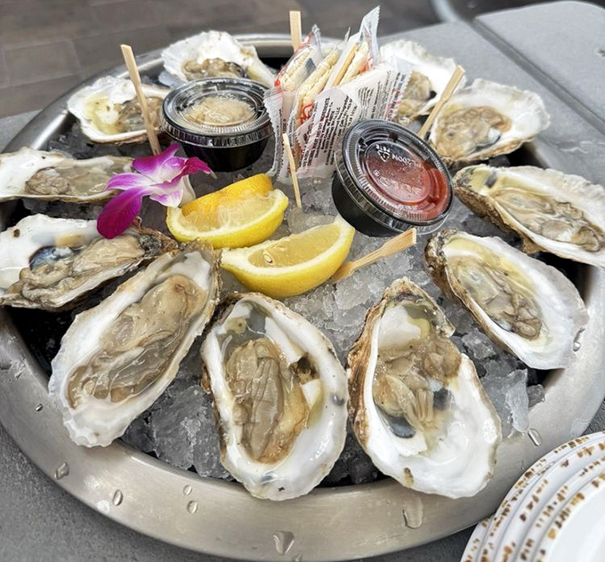 Fresh oysters arranged like edible pearls, each one a briny kiss from the ocean that'll transport you instantly.