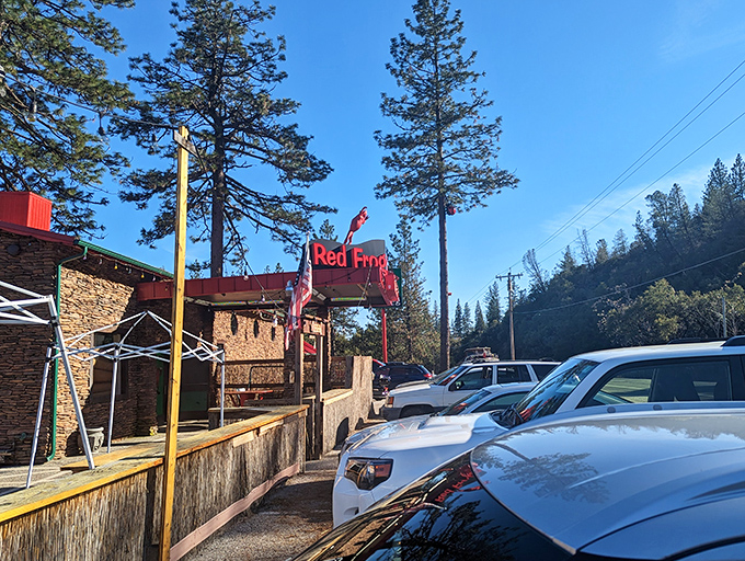 The Red Frog beckons hungry travelers with rustic charm and the promise of hearty meals—the kind that make detours worthwhile.
