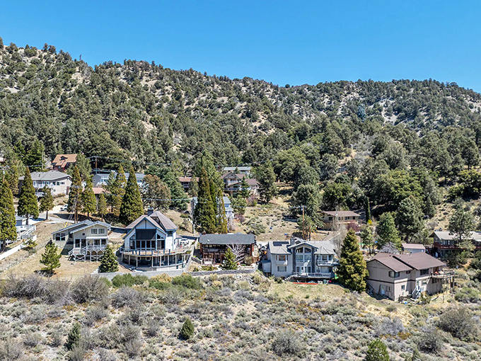 A neighborhood where "keeping up with the Joneses" means who has the most impressive pine trees, not the fanciest car.