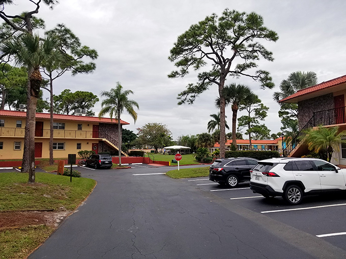 Apartment living with a tropical twist. Where "running late" means missing the first five minutes of sunset happy hour.