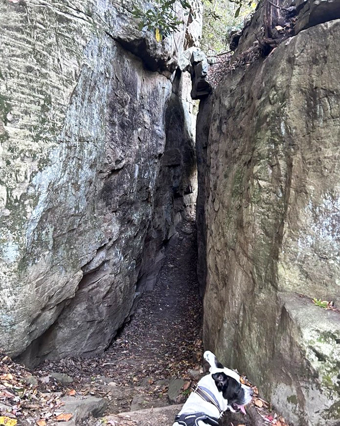 Narrow passages between towering rock walls &ndash; Mother Nature's version of an escape room, minus the contrived puzzles and with much better scenery.