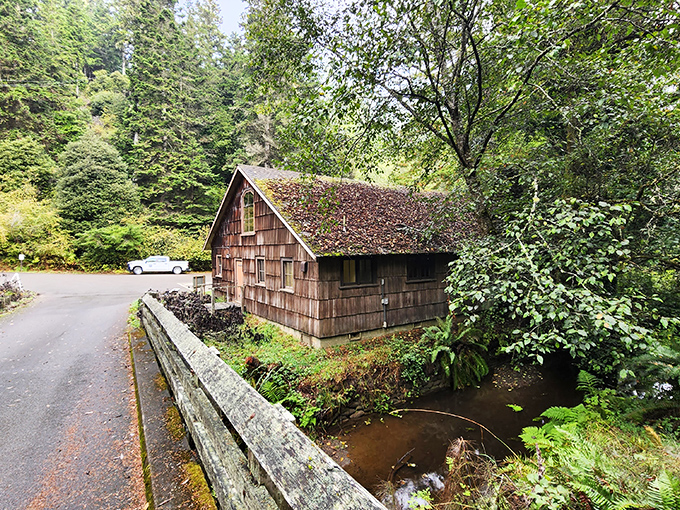 This rustic cabin beside Russian Gulch looks like it's waiting for a novelist with writer's block to discover its transformative powers.