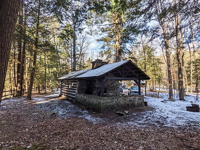 This isn't just a cabin in the woods&mdash;it's a time machine to simpler days when "streaming" meant watching water flow over rocks. 