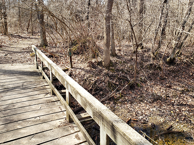 This weathered wooden bridge doesn't just span a creek; it connects our hurried present to a more deliberate past.