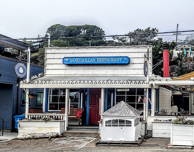 The Sand Dollar Restaurant isn't just a place to eat&mdash;it's a local institution where seafood arrives with a pedigree and stories are served complimentary.