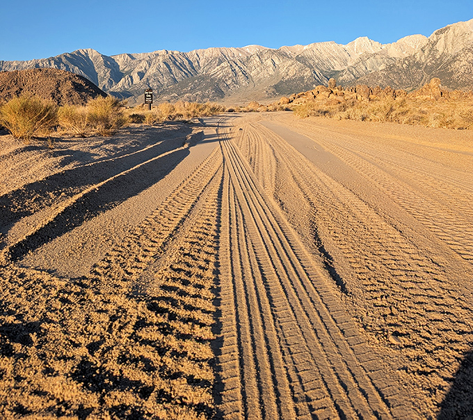 Tire tracks telling stories across the desert floor&mdash;each one a different adventure heading toward those magnificent mountains.