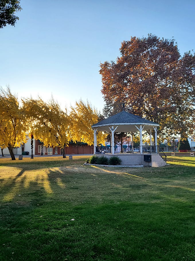 The gazebo at Lincoln Park catches golden hour light, creating the perfect backdrop for community concerts and lazy Sunday afternoons.
