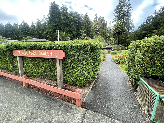 Sequoia Park Garden offers peaceful pathways through manicured greenery, where retirement means having time to literally stop and smell the roses.