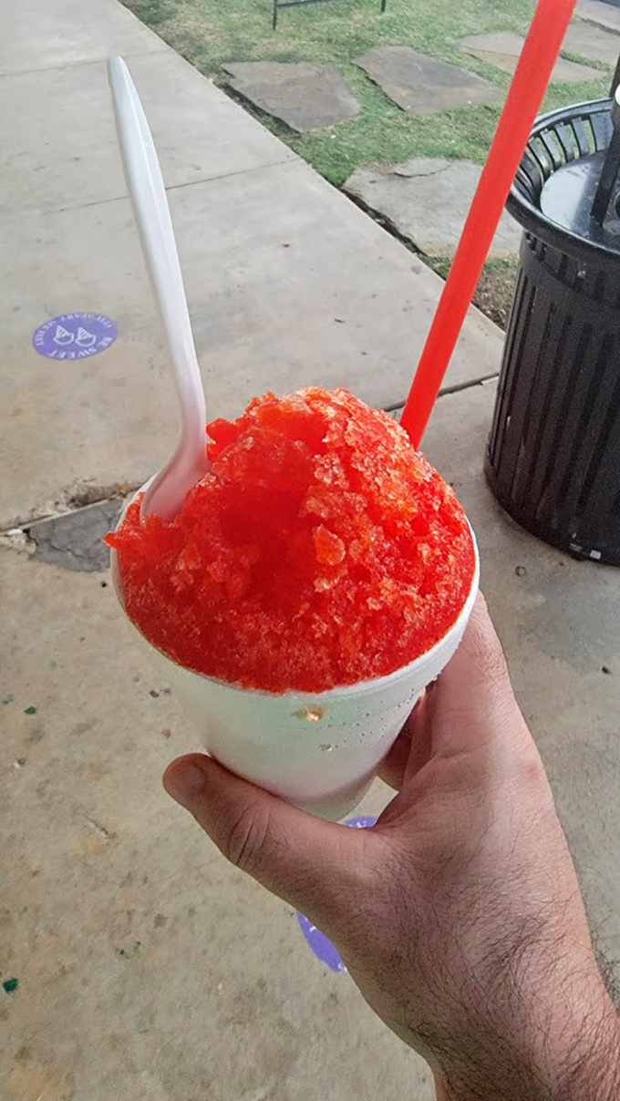 Shaved ice so vibrant it practically glows. The kind of treat that makes adults forget about dignity and brain freeze warnings.