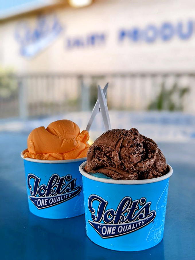Two perfect scoops in signature blue cups&mdash;one chocolate, one orange&mdash;sitting like old friends catching up on a summer afternoon.