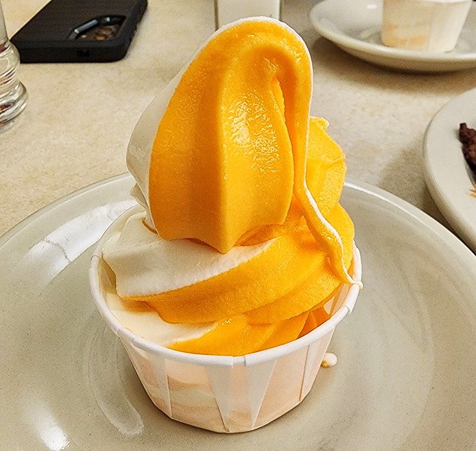 Orange sherbet served with the kind of presentation that would make Instagram influencers weep &ndash; simple, vibrant, and utterly refreshing.