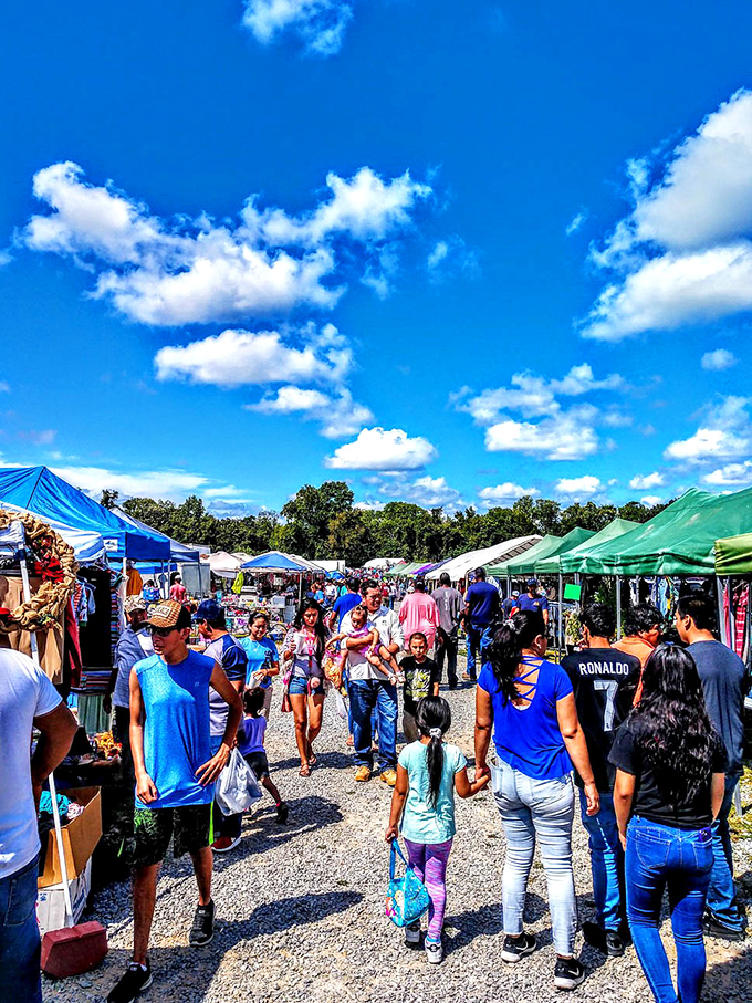 Treasure hunters on the prowl, proving that flea market friendships form faster than you can say "Is that really only five bucks?"