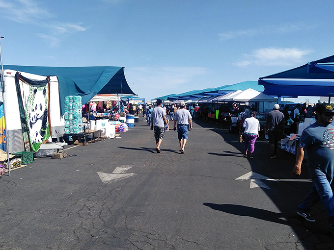 The market's wide aisles become social thoroughfares where strangers bond over shared discoveries and the universal language of bargain hunting.