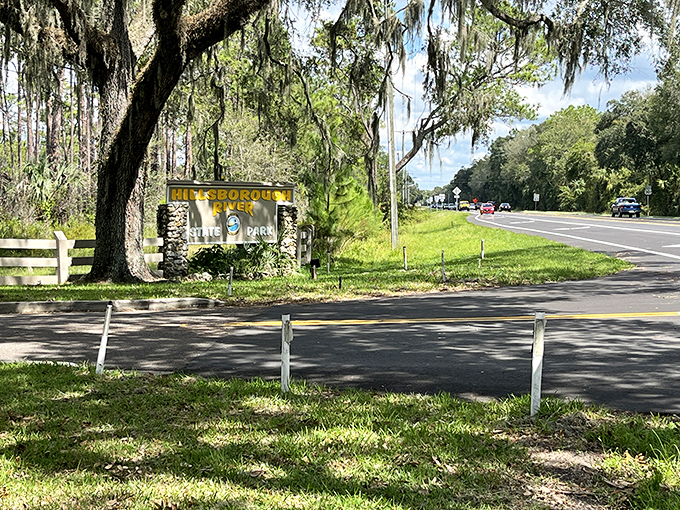 The entrance sign stands sentinel beneath Spanish moss, a humble gatekeeper to one of Florida's most spectacular natural treasures.