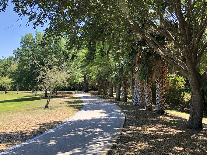 Walking paths shaded by palms and live oaks make South Lake Howard Nature Park the perfect spot for morning strolls without needing a gallon of sunscreen. 