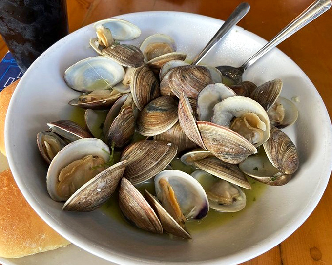 Cedar Key clams in their purest form—steamed, bathed in butter, and ready to transport you to seafood nirvana. Simplicity at its most delicious.