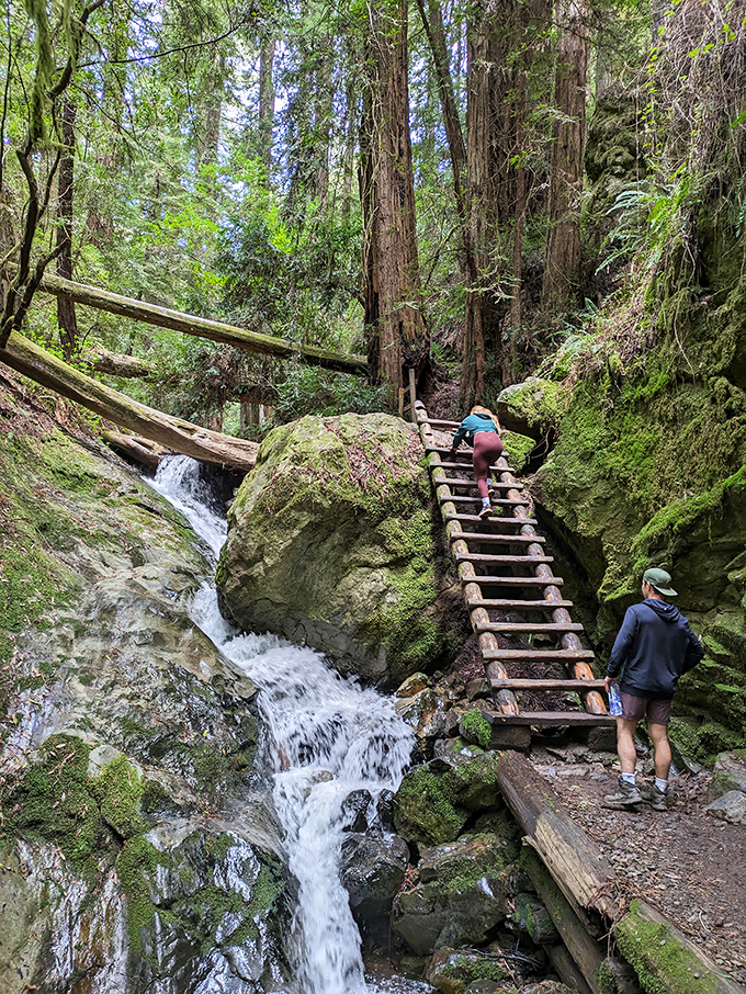 The Steep Ravine Trail's legendary ladder&mdash;where hikers discover muscles they didn't know existed while climbing alongside a cascading waterfall.