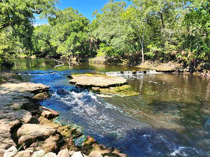 Steinhatchee Falls creates natural swimming pools that make any hotel's amenities look like amateur hour attempts at luxury.