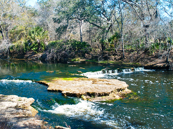 Steinhatchee Falls proves Florida's version of a waterfall might lack height but makes up for it with limestone charm.