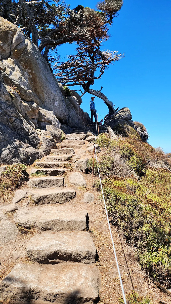 Stairway to heaven? Close enough. These stone steps lead to views that would make angels jealous and Instagram influencers weep with joy.