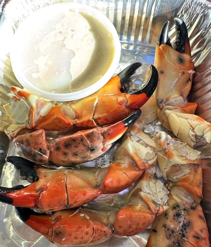 Stone crab claws &ndash; Florida's edible treasure &ndash; arrive like nature's perfect design: crack, dip, savor, repeat until your table is littered with empty shells.