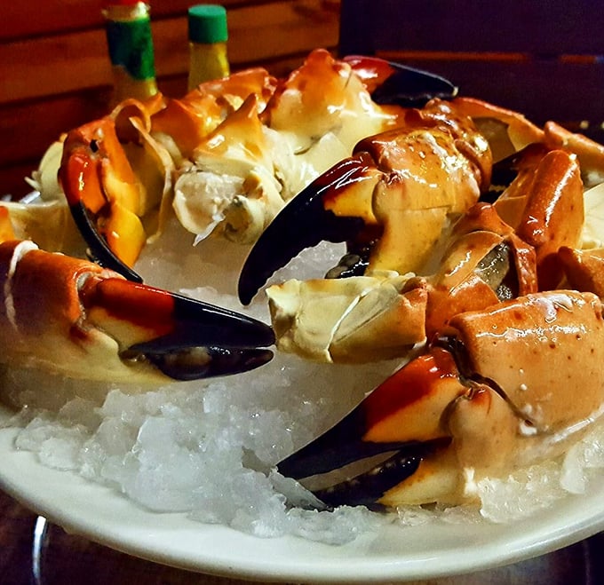Stone crabs on ice&mdash;nature's perfect design of sweet meat in a protective shell. Like Florida's version of nature's jewelry box.