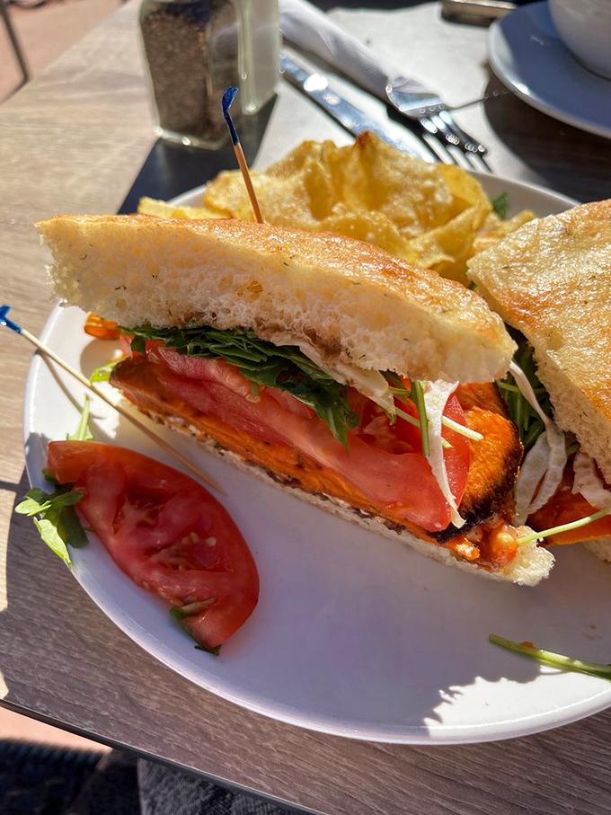 A sweet potato sandwich so perfectly stacked it belongs in an architecture magazine. Those vibrant veggies and toasty bread create the kind of lunch worth hiking extra miles for.