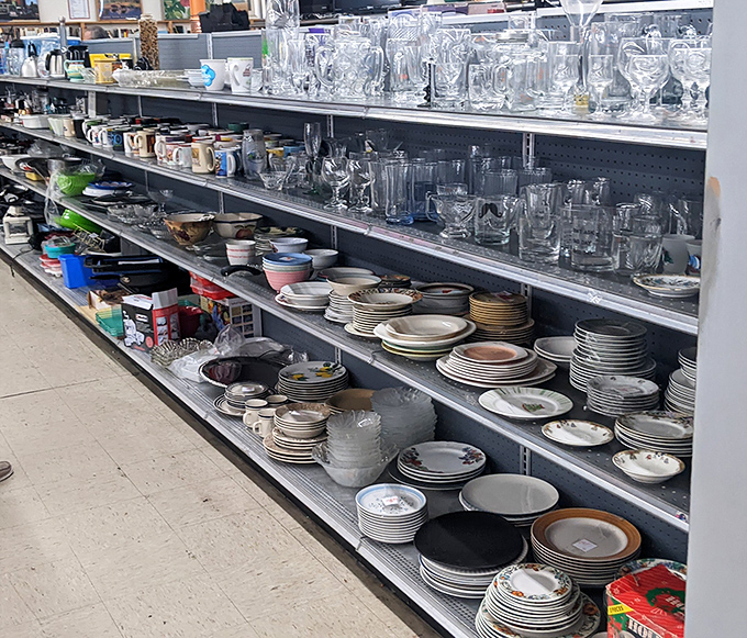 Dish-a-palooza! Every plate tells a story, and at these prices, you can collect enough tales to host a dinner party for the entire neighborhood.