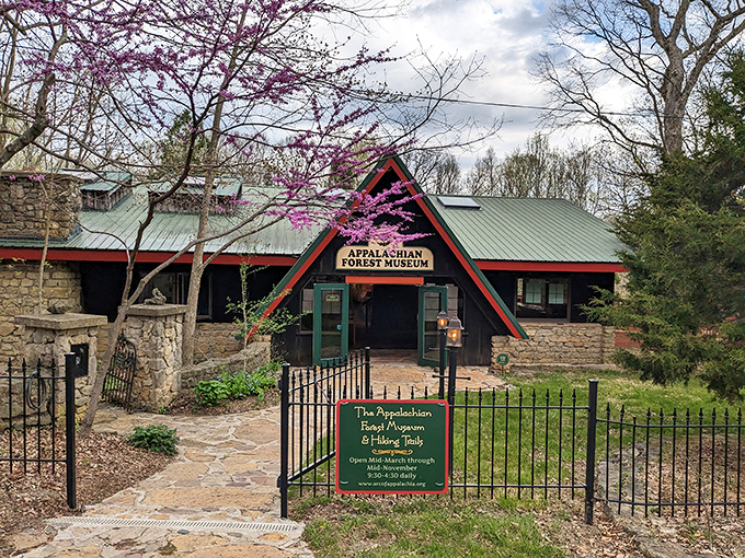 The Appalachian Forest Museum &ndash; where architecture and nature have been having a friendly competition for decades, and everyone's winning.