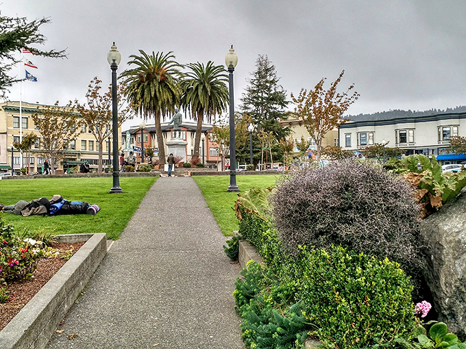 The Plaza's pathways invite wandering feet and wondering minds. Even on cloudy days, this green heart of town radiates warmth.
