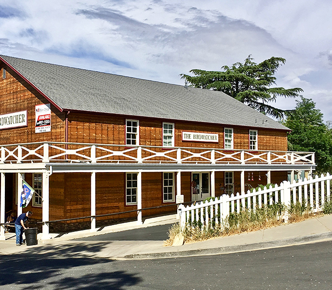 The Birdwatcher building offers a perfect blend of rustic charm and Victorian elegance&mdash;like Downton Abbey's outdoorsy cousin.