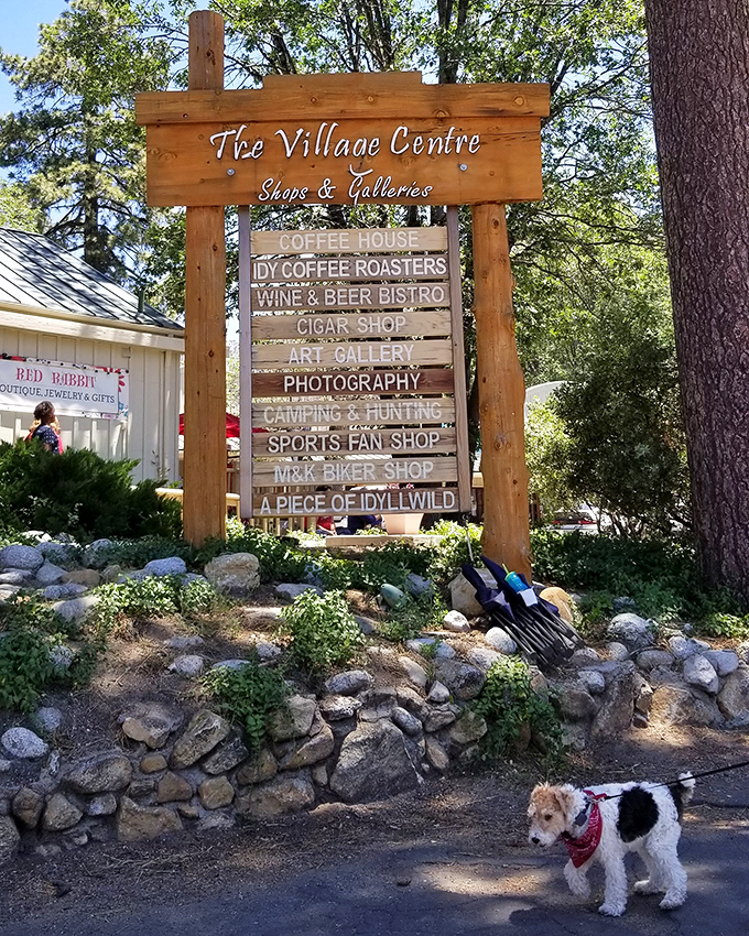 The Village Centre sign promises treasures within. That little dog seems to know all the best spots already.