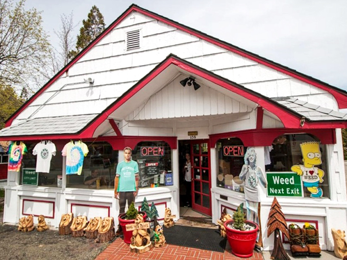The Weed Store embraces its name with the confidence of someone who's heard every joke twice.