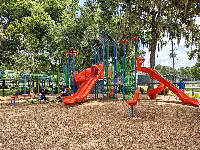 At Tom Varn Park, grandkids burn energy while grandparents save theirs—the perfect equation for family visits that don't require recovery time.