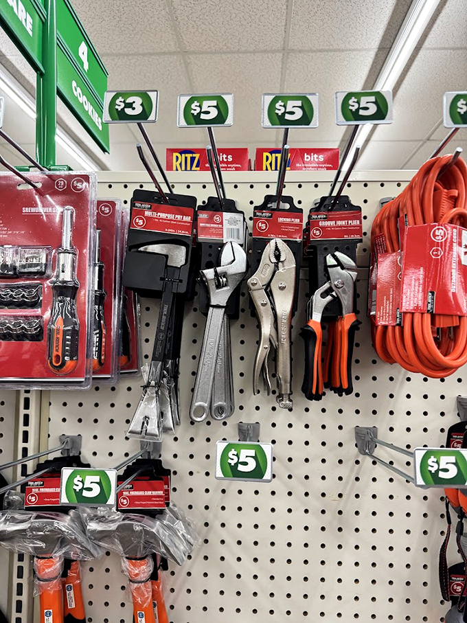 Professional-grade tools that won't break banks or spirits, proving functionality doesn't require fancy price tags or designer labels.