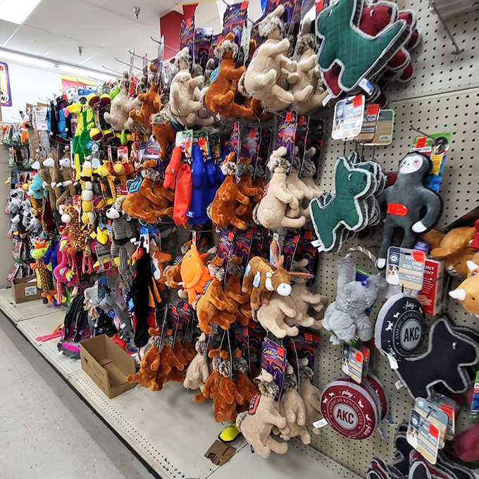 Pet toys galore! Your four-legged friend deserves a bargain too, and these plush companions won't break the bank.