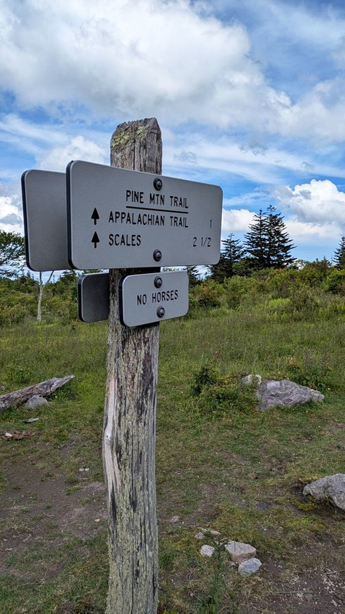 Where trails converge and adventures begin. This weathered signpost has pointed thousands of hikers toward memories they'll never forget.