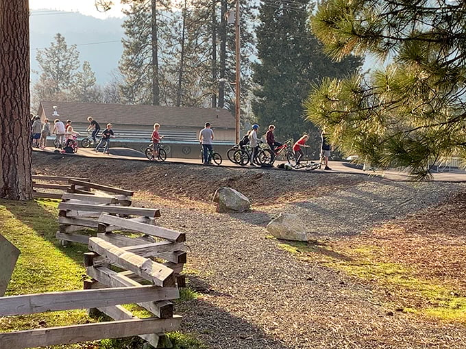 Local cyclists enjoy Trinity Bike Park, where the only "traffic" you'll encounter is a friendly nod from fellow outdoor enthusiasts.
