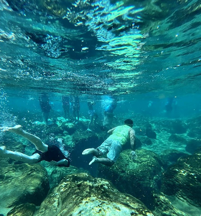 Snorkeling in Salt Springs feels like flying through liquid crystal. The underwater explorers discover a world most drive right past.