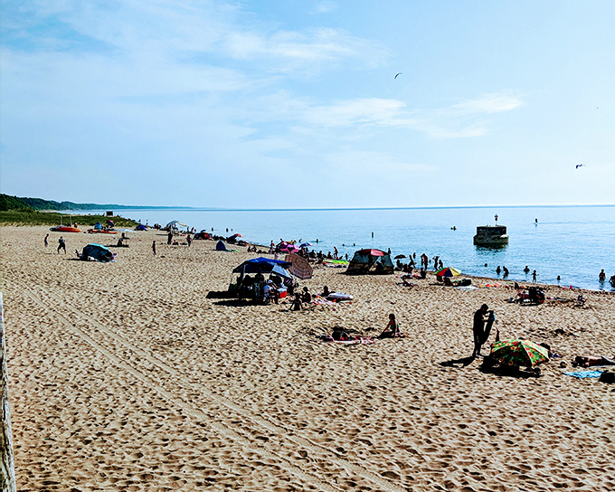 Summer in Michigan isn't complete without this scene: families claiming their sandy real estate for a day of simple lakeside pleasures.