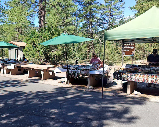 Local artisans display their wares under shaded canopies, turning this scenic stop into an unexpected cultural crossroads where art meets landscape.