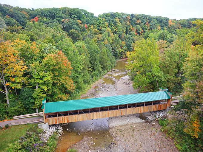 The river below carves its patient path through autumn's canvas. From here, everyday worries seem delightfully small.