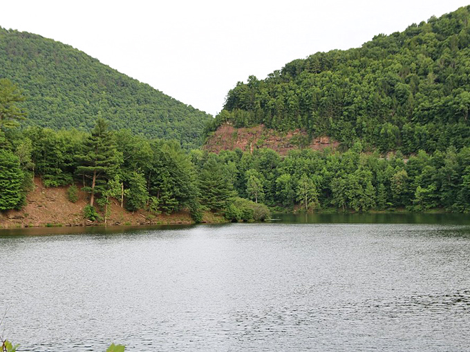 Mother Nature showing off her architectural portfolio. These verdant mountains frame the reservoir like they're posing for Pennsylvania's next tourism campaign. 