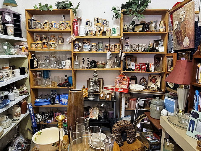 Organized chaos at its finest. Every shelf tells a different story, from vintage glassware to quirky figurines that somehow feel like old friends.