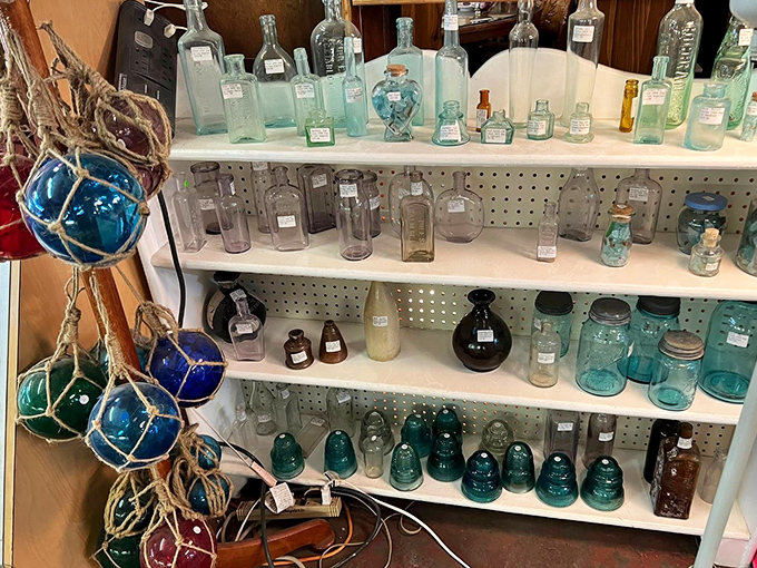 These aren't just bottles&mdash;they're liquid history in glass form, each one whispering tales of patent medicines and prohibition-era concoctions.