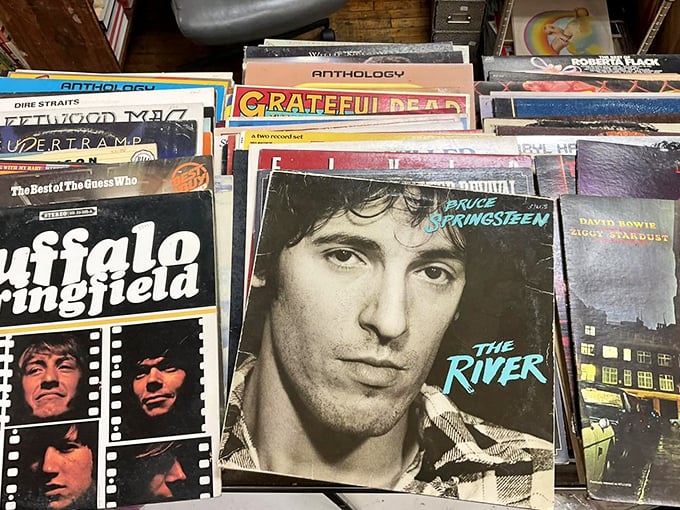 Vinyl heaven awaits music lovers with gems like Springsteen's "The River" and Buffalo Springfield &ndash; analog treasures that sound better with each passing decade. 