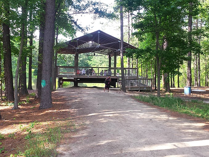 A peaceful pavilion nestled among pines offers the perfect spot for contemplation &ndash; nature's conference room, no reservation required.