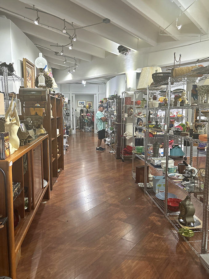 Every aisle tells a story, with carefully arranged treasures that transform ordinary shopping into an archaeological expedition through recent decades.